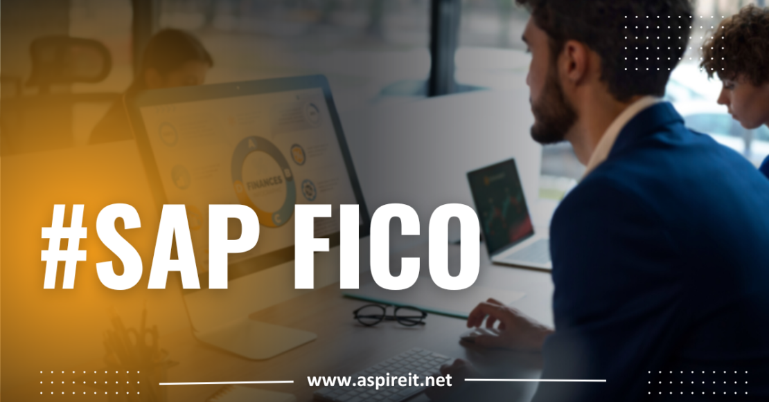 SAP FICO - IT GIZZ
